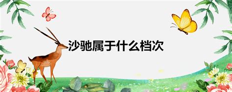 沙驰属于什么档次 业百科
