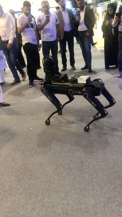 Ibrar Shabbir On Linkedin Gitex2022 Gitextechnologyweek Ai