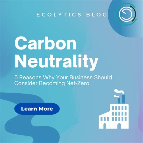 5 Reasons Why Businesses Should Become Carbon Neutral