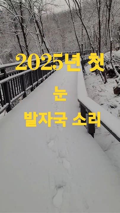 2025년 첫 눈 밟는 소리 자연이 주는 음악 Youtube