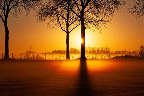 Nature Des Arbres Le Coucher Du Photo Gratuite Sur Pixabay Pixabay