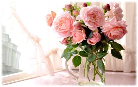Троянди у вазі як доглядати квіти і реанімувати букет Sara