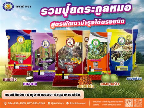 ปุ๋ยตราม้าเงา 🌱 รวมปุ๋ยตะกูลหมอ สูตรพัฒนาบำรุงได้ตรงชนิด 🌱 ธาตุอาหาร
