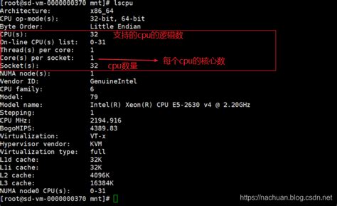 Linux查看某个文件夹下子文件占用空间大小查看cpu信息dulinux某类文件及文件夹下的大小 Csdn博客