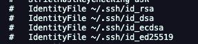 Docker Gitea Ssh Clone Chinese Only Gitea