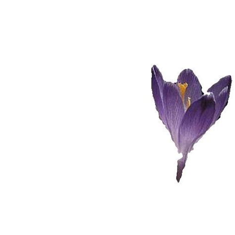 Pdf Flower Image Segmentation Based On Color Analysis And A