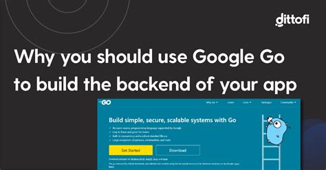 Why You Should Use Google Go Dittofi