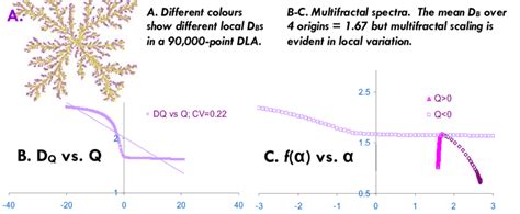 Multifractal Scaling For A 90 000 Point Dla Download Scientific Diagram