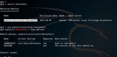 Chkrootkit 049本地提权漏洞利用与防范研究 Windows本地提权漏洞