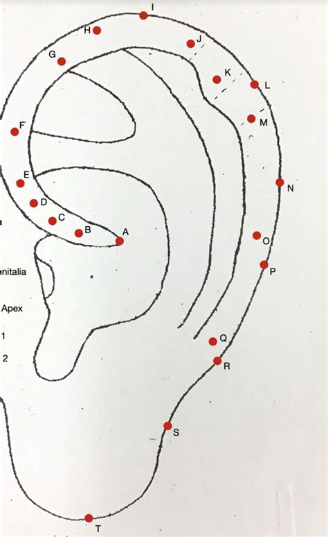 Helix Points Diagram Diagram Quizlet