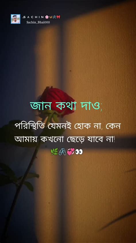 🌿 Sachin 🌿 জান কথা দাও পরিস্থিতি যেমনই হোক না কেন আমায় কখনো ছেড়ে