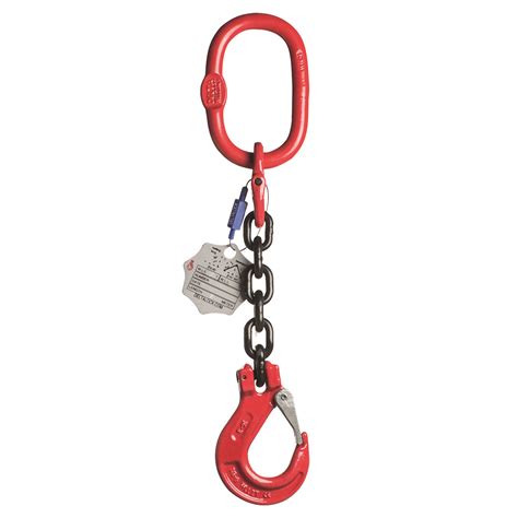 Deltalock Grade 80 1 Leg Chain Sling 6 Mm X 6 Meter With Clevis
