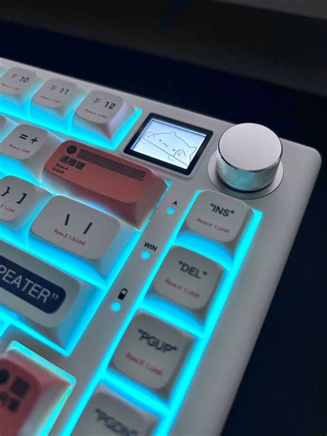 75 Custom Mechanical Keyboard LCD LED Screen Knob This Is Plastic Keycaps Bonga Cat