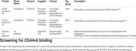 Proteins And Peptides Used In Phage Display Selections And Subsequent