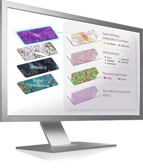 Homepage 2024 Nucleai