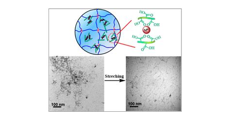 Metal Ion Mediated Cellulose Nanofibrils Transient Network In Covalently Cross Linked Hydrogels