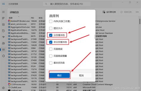 Windows Windows11查看各个进程的分页缓冲池和非分页缓冲池 Csdn博客