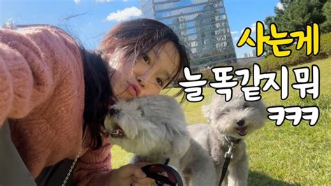 Vlog 3일 연속 같은 식당가는 사람의 브이로그 스피닝에 빠진 요가강사 일상브이로그 에슐리퀸즈 혼자가고 친구랑가고 가족이랑 가고 Feat 연애의 참견