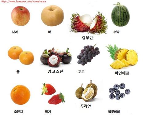 เฮฮาเกาหลี ผลไม้ภาค 2 과일 ผลไม้ 바나나 กล้วย 구아바 ฝรั่ง 두리안 ทุเรียน 파인애플 สับปะรด 망고스틴 มังคุด 람부탄