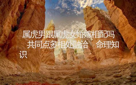 属虎男跟属虎女婚嫁相配吗 共同点多相处融洽 命理知识 生肖星座 合福居文化