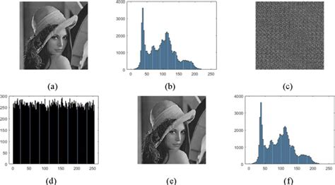 A Is Standard “256 × 256 Lena” Plain Image B Is Plain Image Histogram