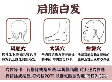 白发必看！不同部位白发以及黑发穴 知乎
