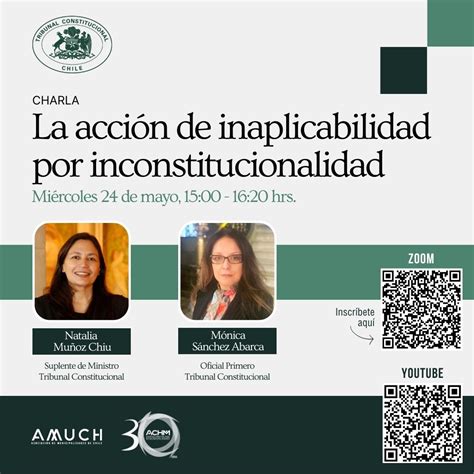 LA ACCIÓN DE INAPLICABILIDAD POR INCONSTITUCIONALIDAD Tribunal