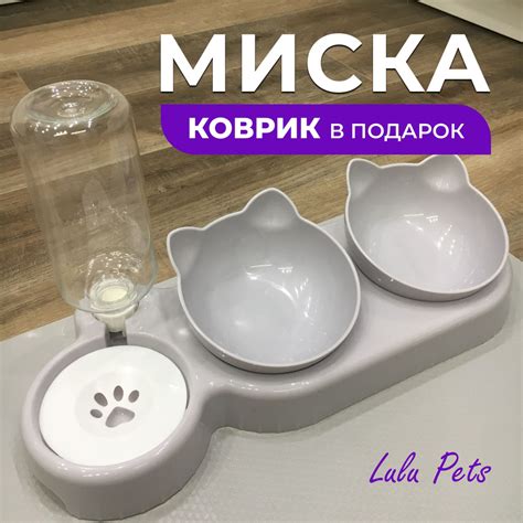 Миска для кошек купить на Ozon по низкой цене 1824770692