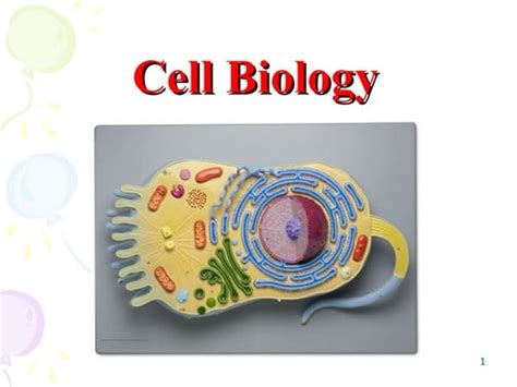 cell and cell theory pptx