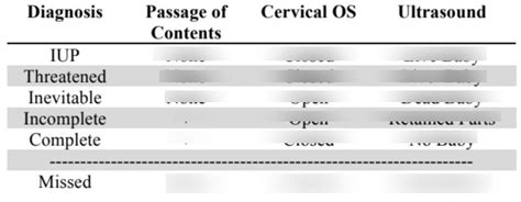 Vaginal Bleeding Diagram Quizlet