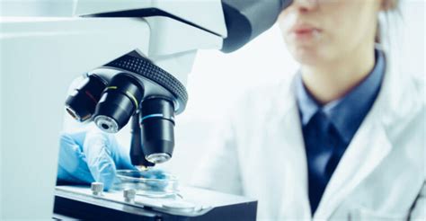 Myriapods Information Types Characteristics Features And Examples Crgsoft