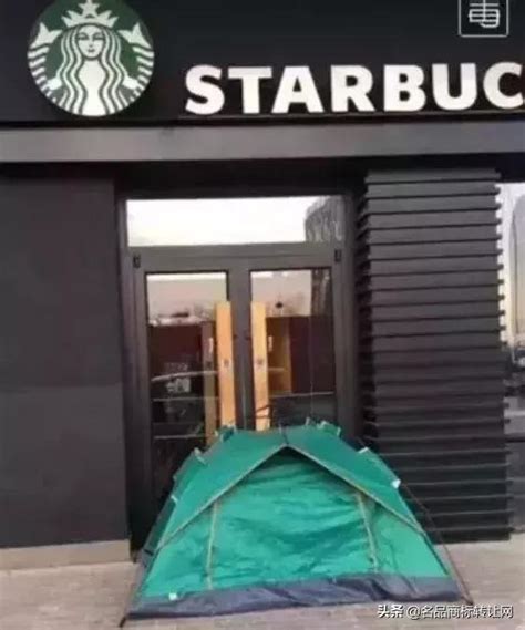 貓爪杯爆紅背後的套路你上勾了嗎 每日頭條