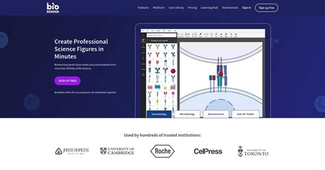 BioRender Figma Canva For Scientists Create Stunning Visuals