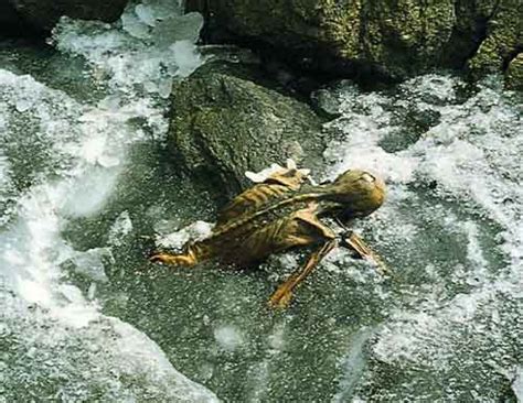 Ötzi Oetzi The Iceman From The Alps Pictures Images Tattoos Burial