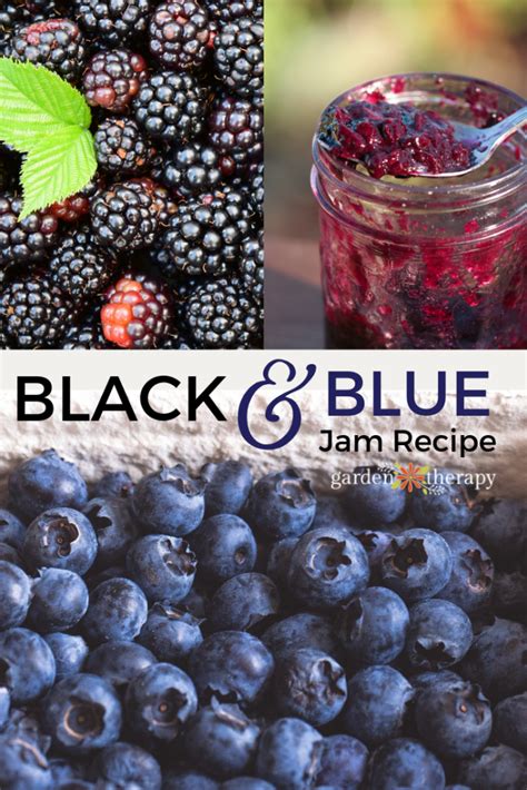 Black Blue Blackberry Blueberry Jam Recipe Garden Therapy Jam