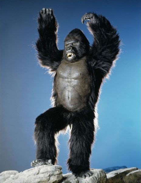 King Kong Movie Morgue Wiki Fandom Powered By Wikia