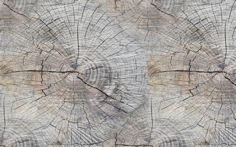 Tree Log Texture To Download ManyTextures