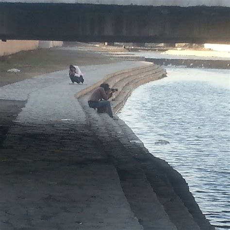 Эрээвэр хураавар