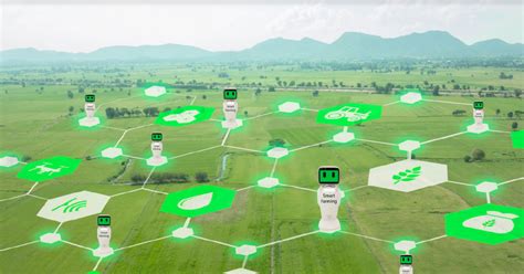 Real Time Monitoring Of Livestock Health With Smart Iot Sensors In Agriculture Tech Magazine