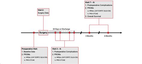 Patient Flow Chart Cat Computer Adaptive Testing Version Ctcae Common Download Scientific