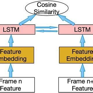 The Twin Network Structure Consists Of Two Identical Branches That