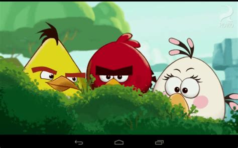Angry Birds Toons Episode 5 Egg Sounds Is Live Androidpure