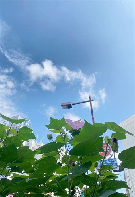 南海トラフ地震注意報を受けて