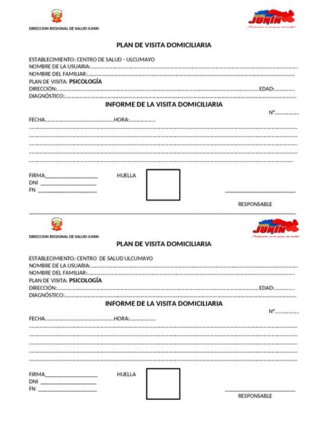 106298882 Formato De Visita Domiciliaria Inicial Form