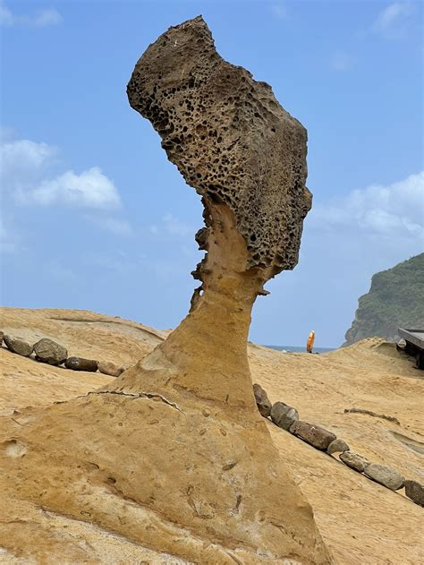目標鎖定橘世代 皇冠海岸觀光圈歷久彌新推出回憶殺遊程 威傳媒新聞 Winnews