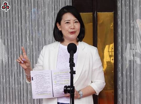 賴清德用「併購說」談兩岸惹議！綠批斷章取義 政治 中時