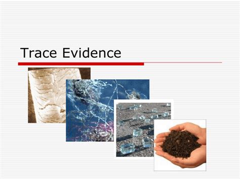 5 Examples Trace Evidence