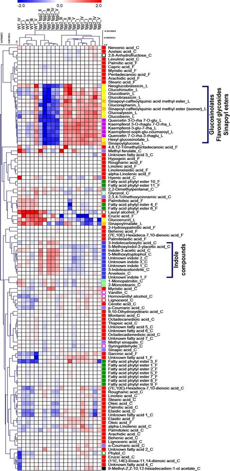 Hierarchical Cluster Analysis Hca Pearson Correlation Of 111