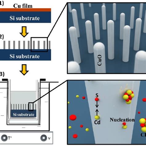 Fabrication Process Employed To Prepare The Coreshell Heterostructure Download Scientific
