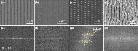 Sem Images Of The Characteristic Structures Formed During The